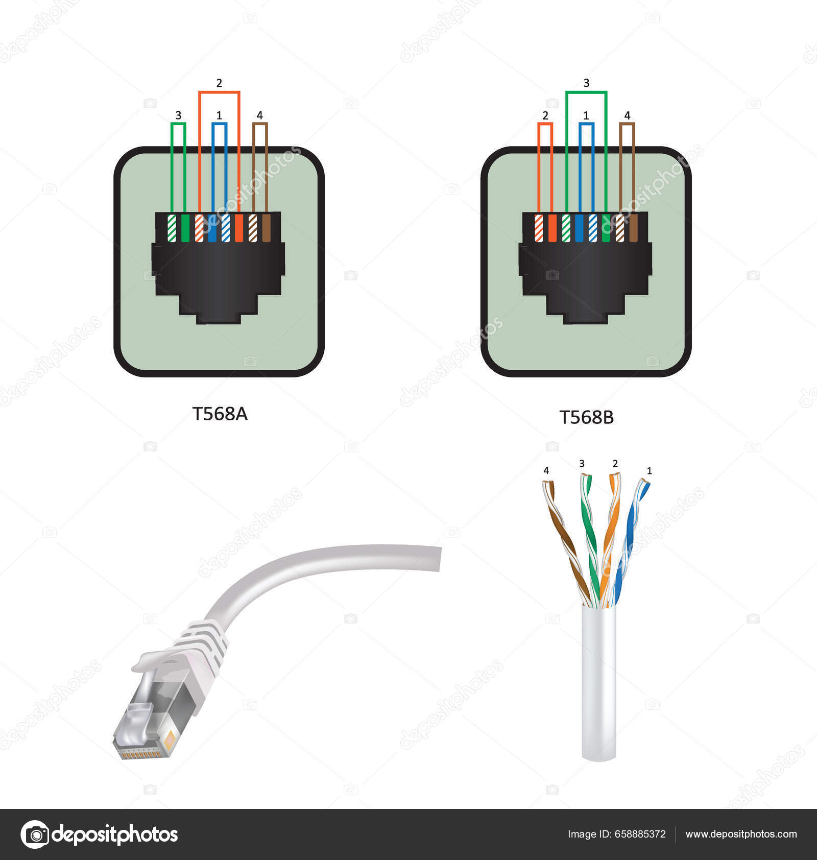 Estándares Cableado Ethernet Utp Vector Stock Vector by ©marijamara ...