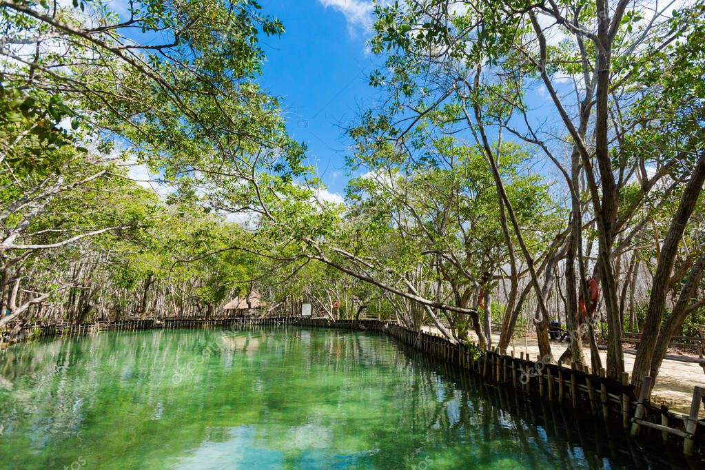 Hermosa Reserva Ecológica El Corchito en Progreso, México durante el ...