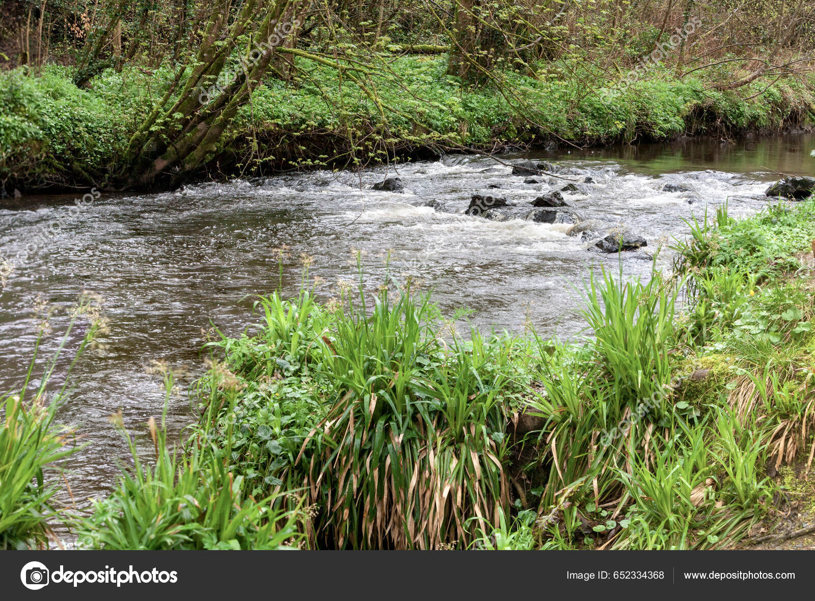 Stormy Spring River River Cusher Clare Glens Forest Rainy Day — Stock ...