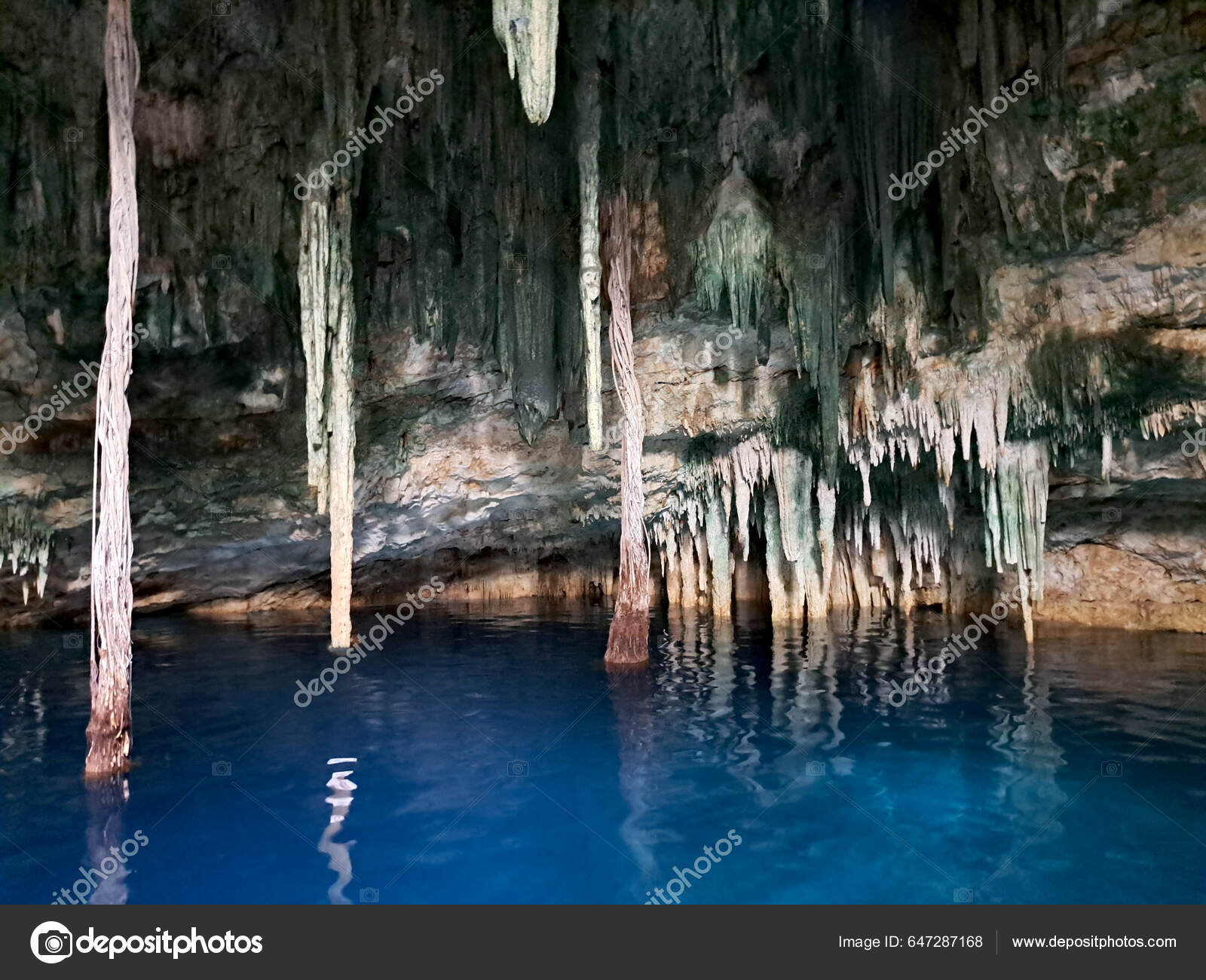 Los Cenotes Yucatán México Son Pozos Naturales Profundos Fenómeno ...
