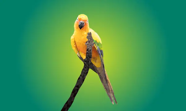 Perruche jaune imágenes de stock de arte vectorial | Depositphotos