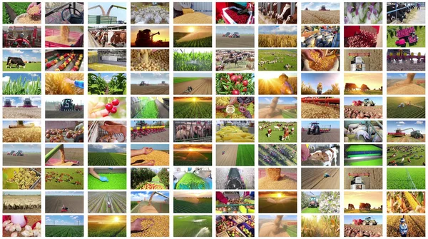 Crop farming collage fotos de stock, imágenes de Crop farming collage ...