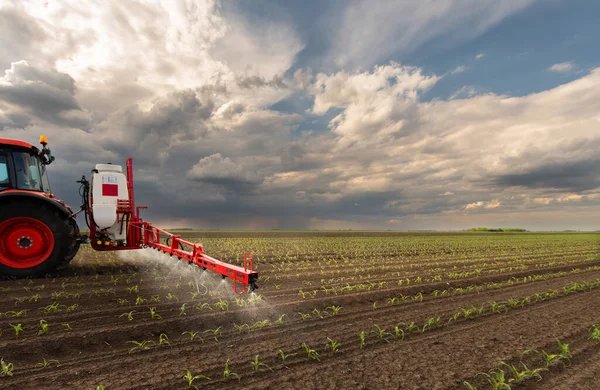Tractor spraying pesticides on corn field with sprayer at spring ...