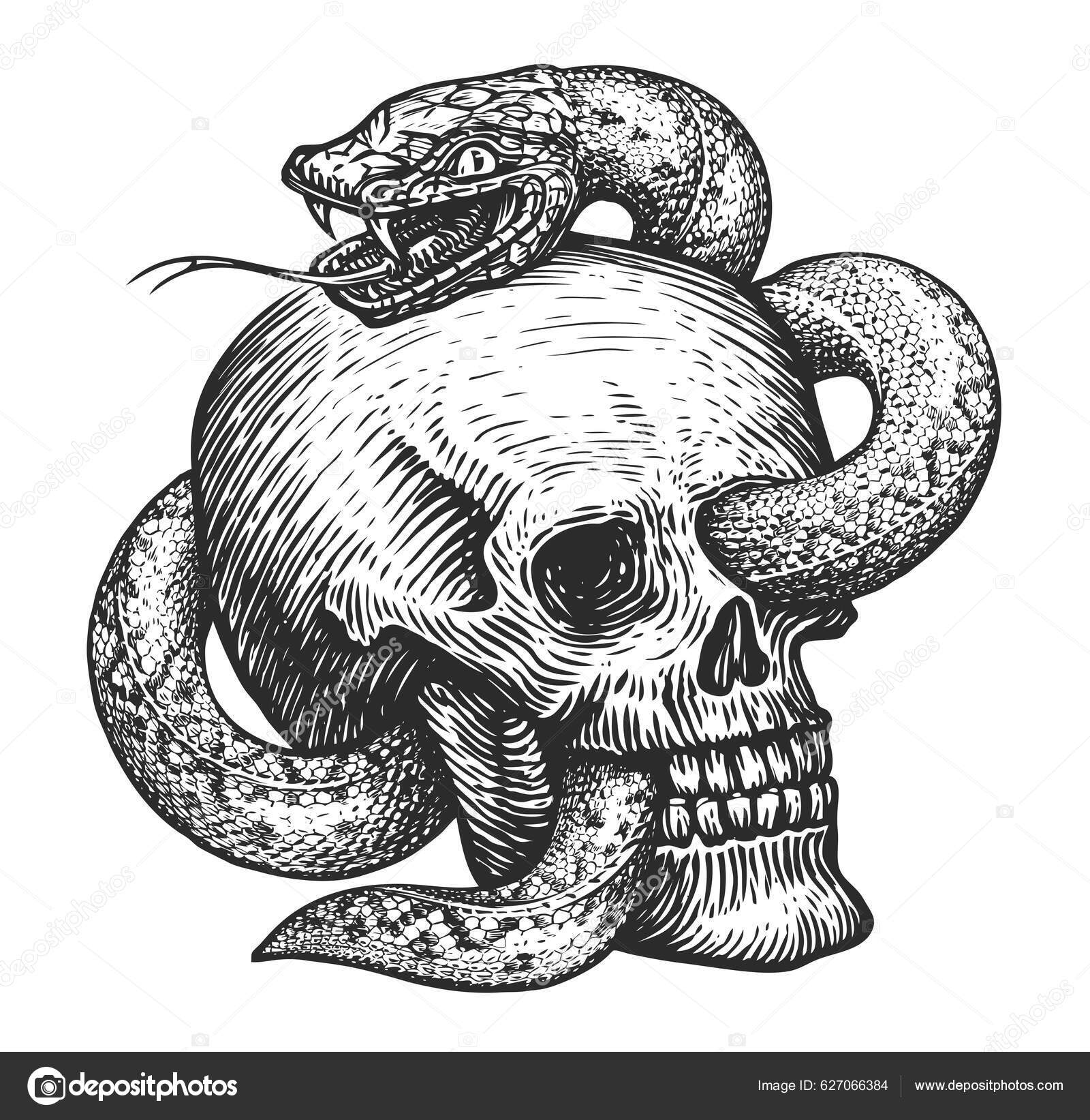 Sketches Of Skulls And Snakes