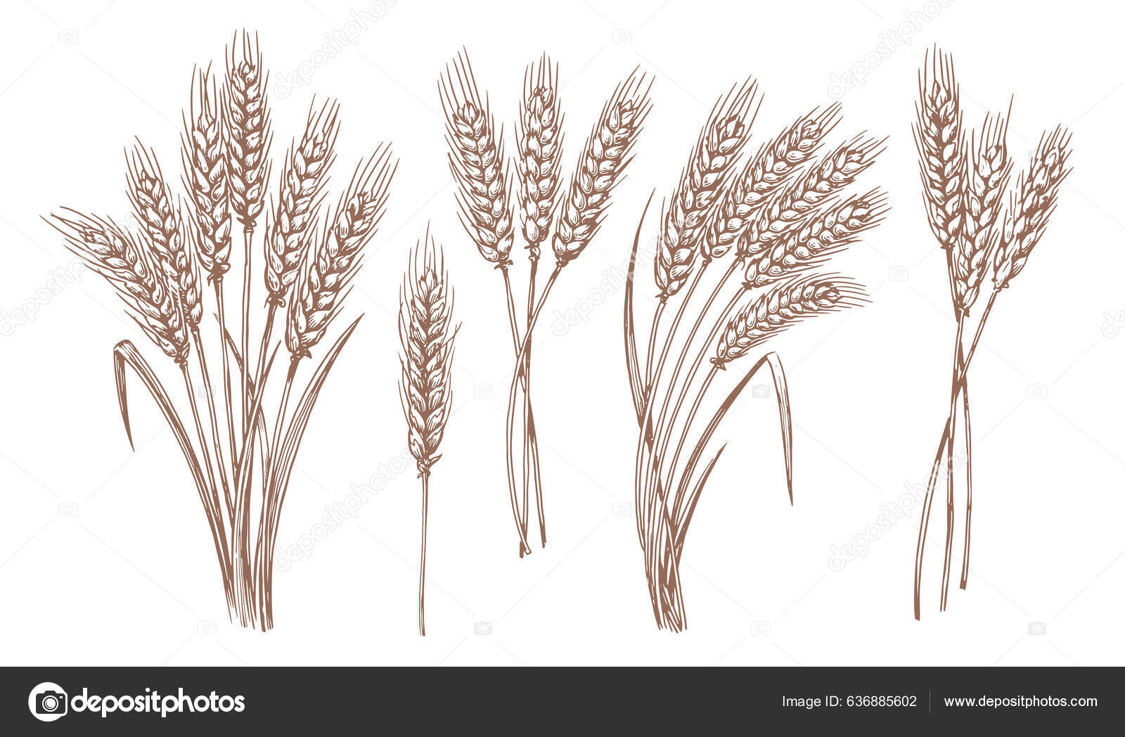 Wheat Stalk Design