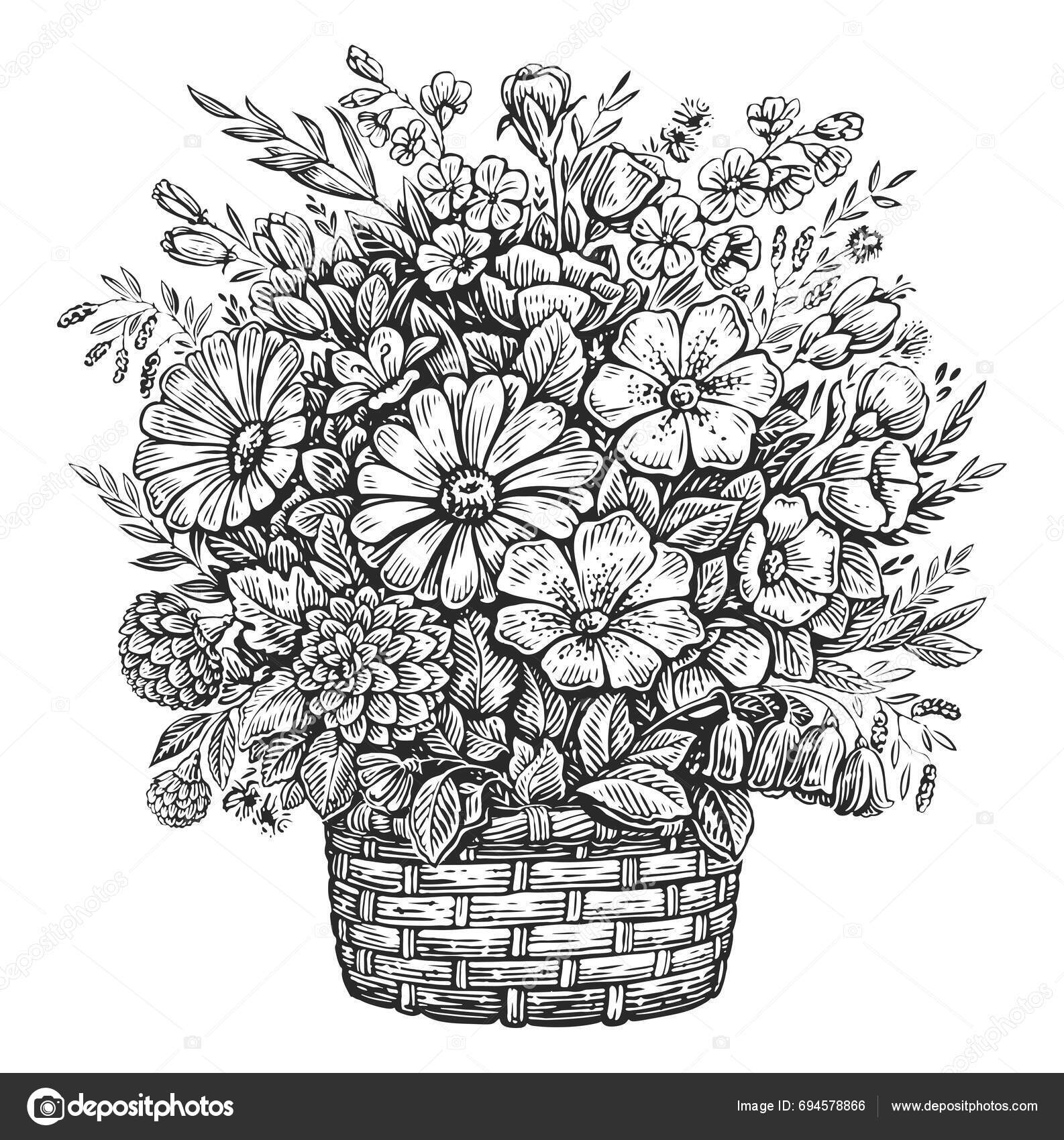 Basket Wild Flowers Isolated Hand Drawn Sketch Vintage Engraving ...