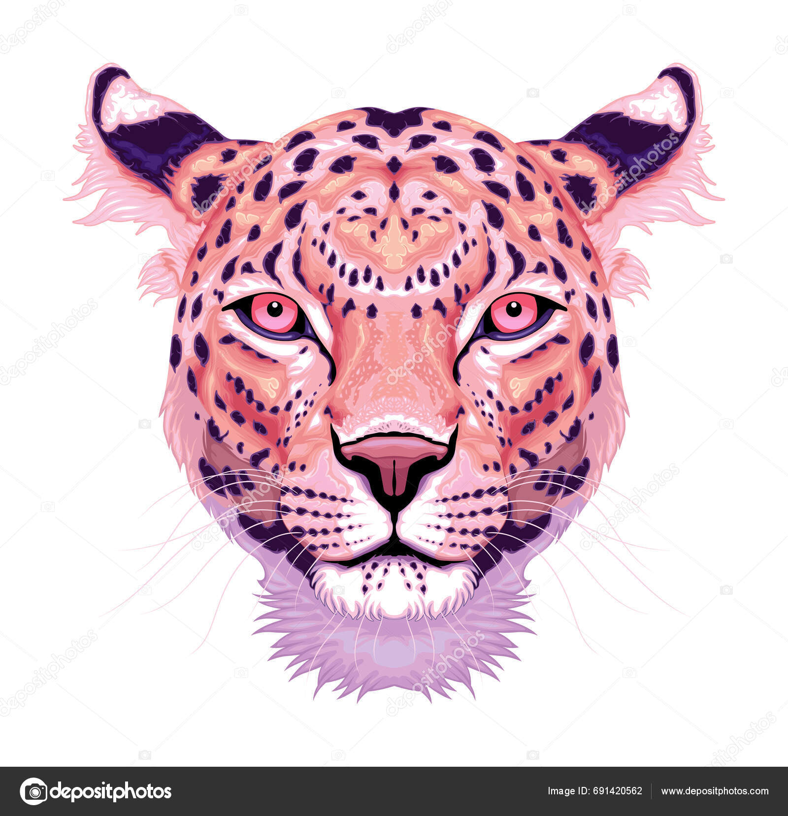 Leopard Head Vector Isolated Animal Stock Vector by ©ddraw 691420562