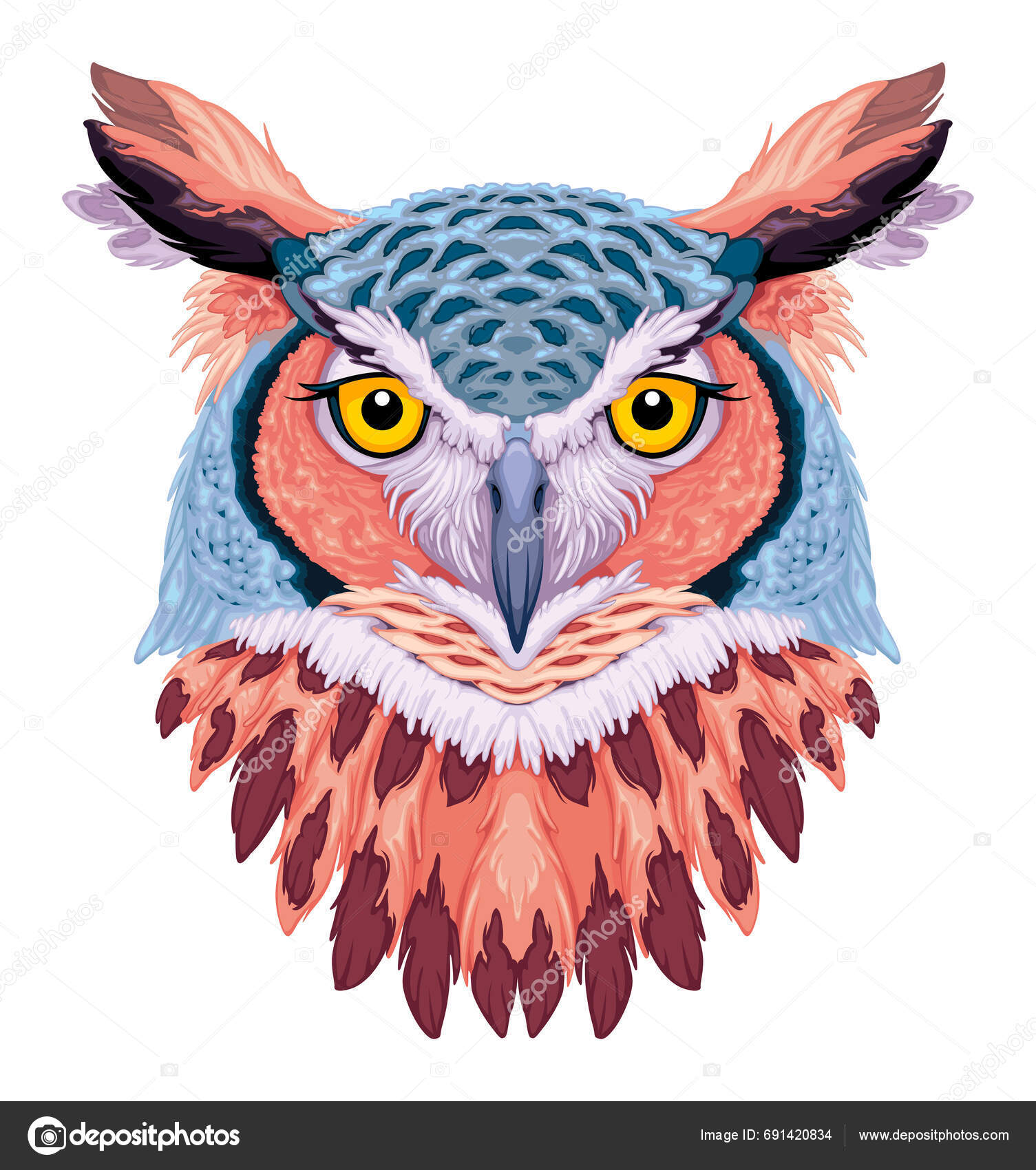 Coruja Vista Frontal Vetor Isolado Animal Vetor de ©ddraw 691420834