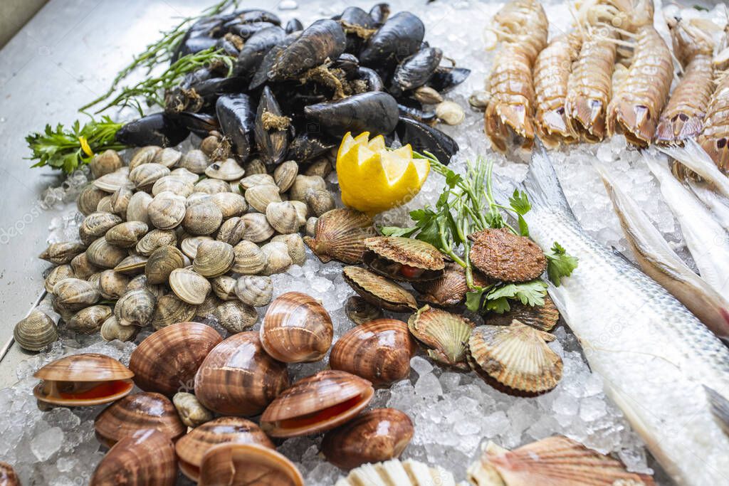 Pescado típico del golfo de Trieste 2024