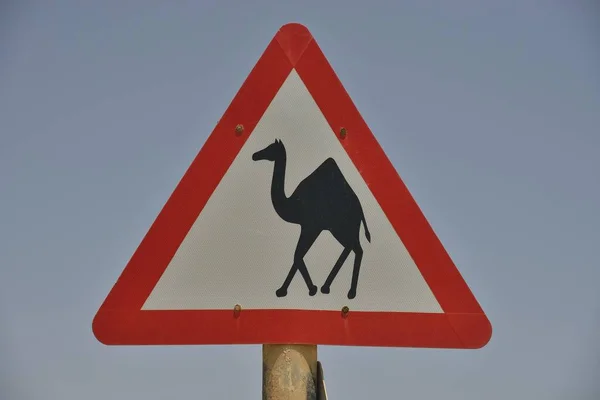 Camel crossing sign Stock Photos, Royalty Free Camel crossing sign ...