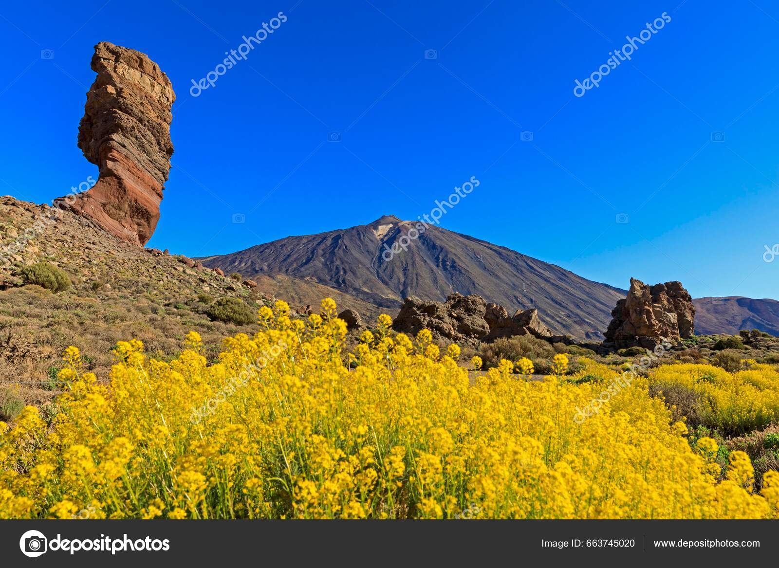 Rock Formation Los Roques Garcia Front Volcano Pico Del Teide — Stock Photo ...