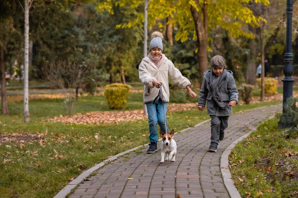 Personas mayores con perro fotos de stock, imágenes de Personas mayores ...