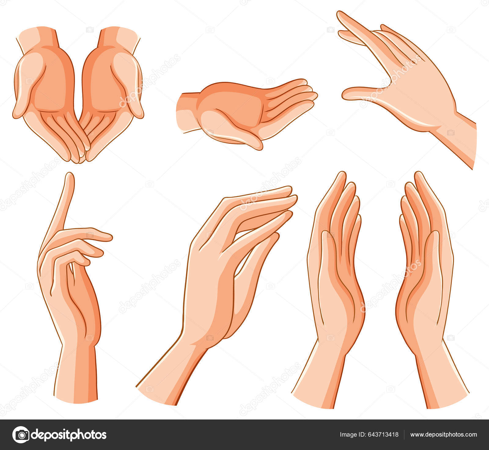 Set Human Hands Different Positions Gestures Illustration Stock Vector ...