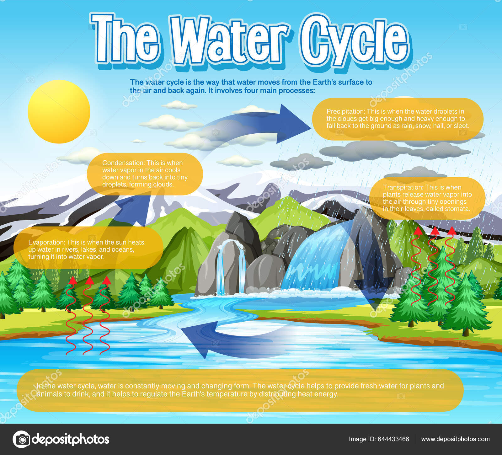 Diagram Of The Water Cycle For Kids
