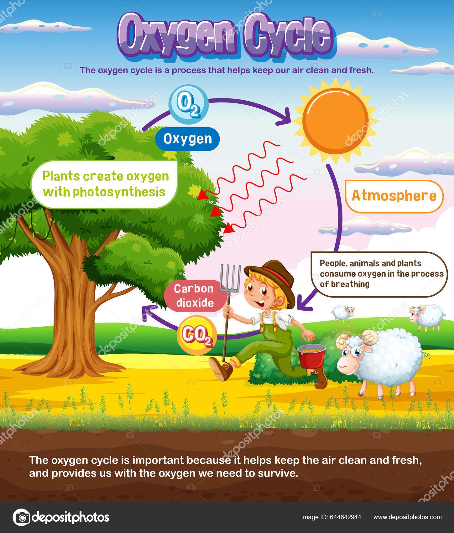 Oxygen Cycle Diagram Science Education Illustration Stock Illustration ... Oxygen Cycle Diagram Science Education Illustration Stock Illustration ...