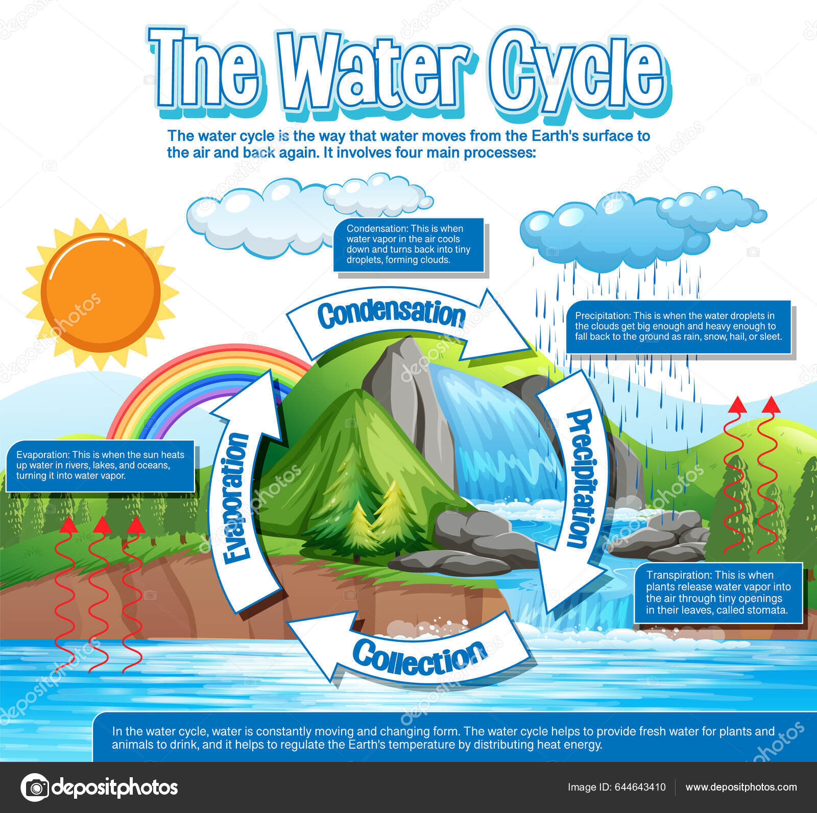 Water Cycle Diagram Science Education Illustration Stock Vector by ...