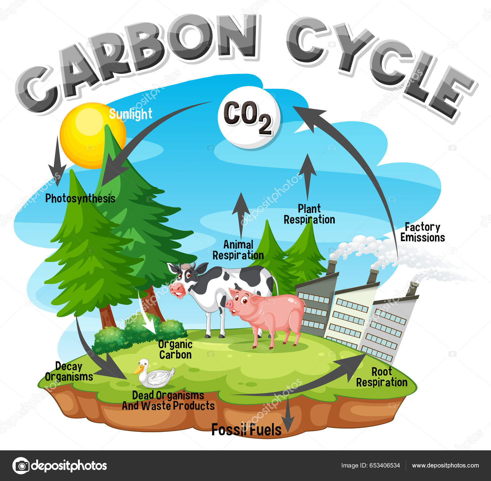 Carbon Cycle Diagram Science Education Illustration Stock Vector by ... Carbon Cycle Diagram Science Education Illustration Stock Vector by ...