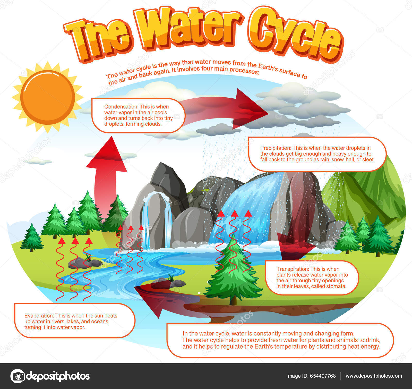Diagrama Del Ciclo Del Agua Para Ilustración Educación Científica ...