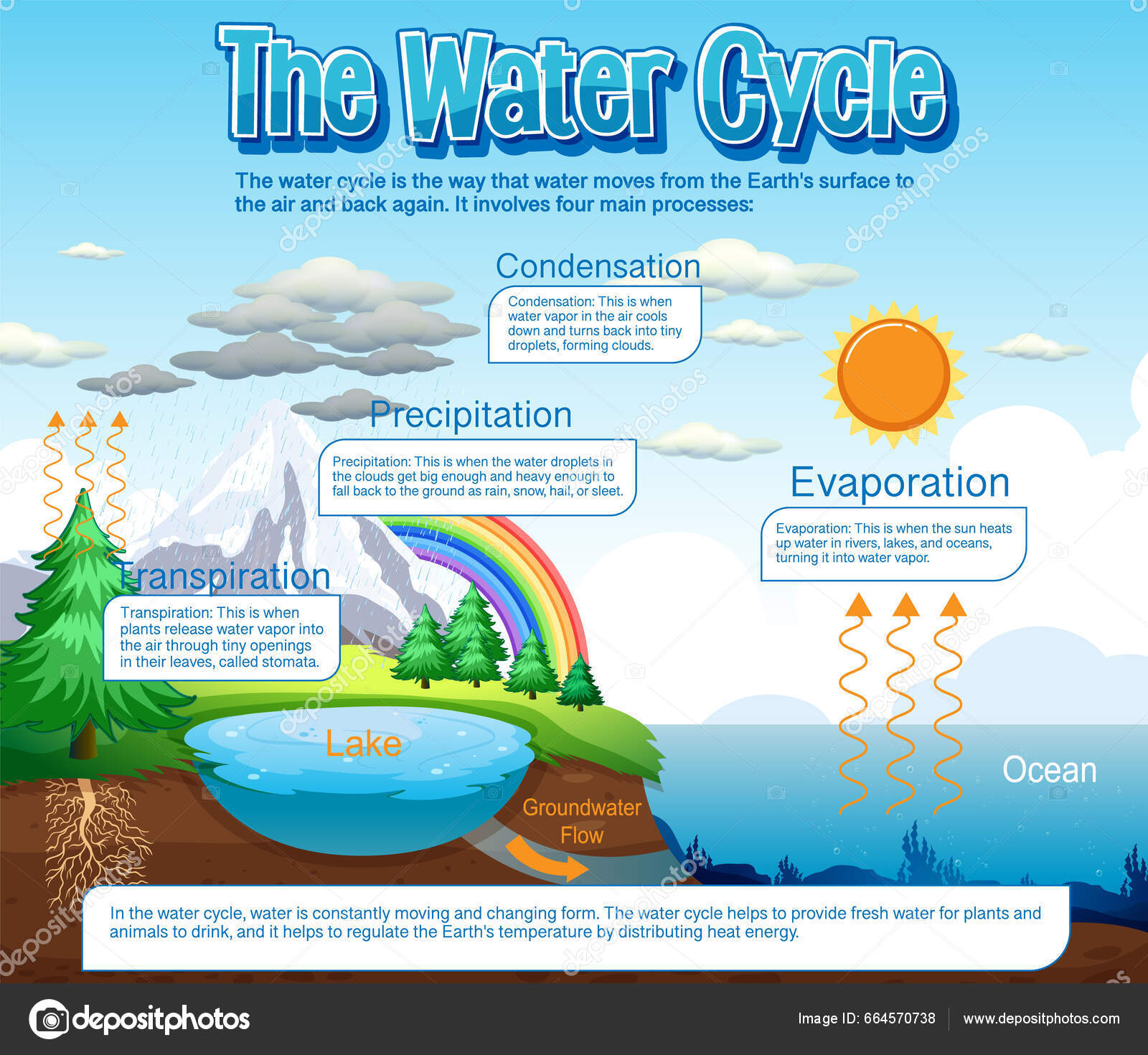 Water Cycle Diagram Science Education Illustration Vector de stock ...
