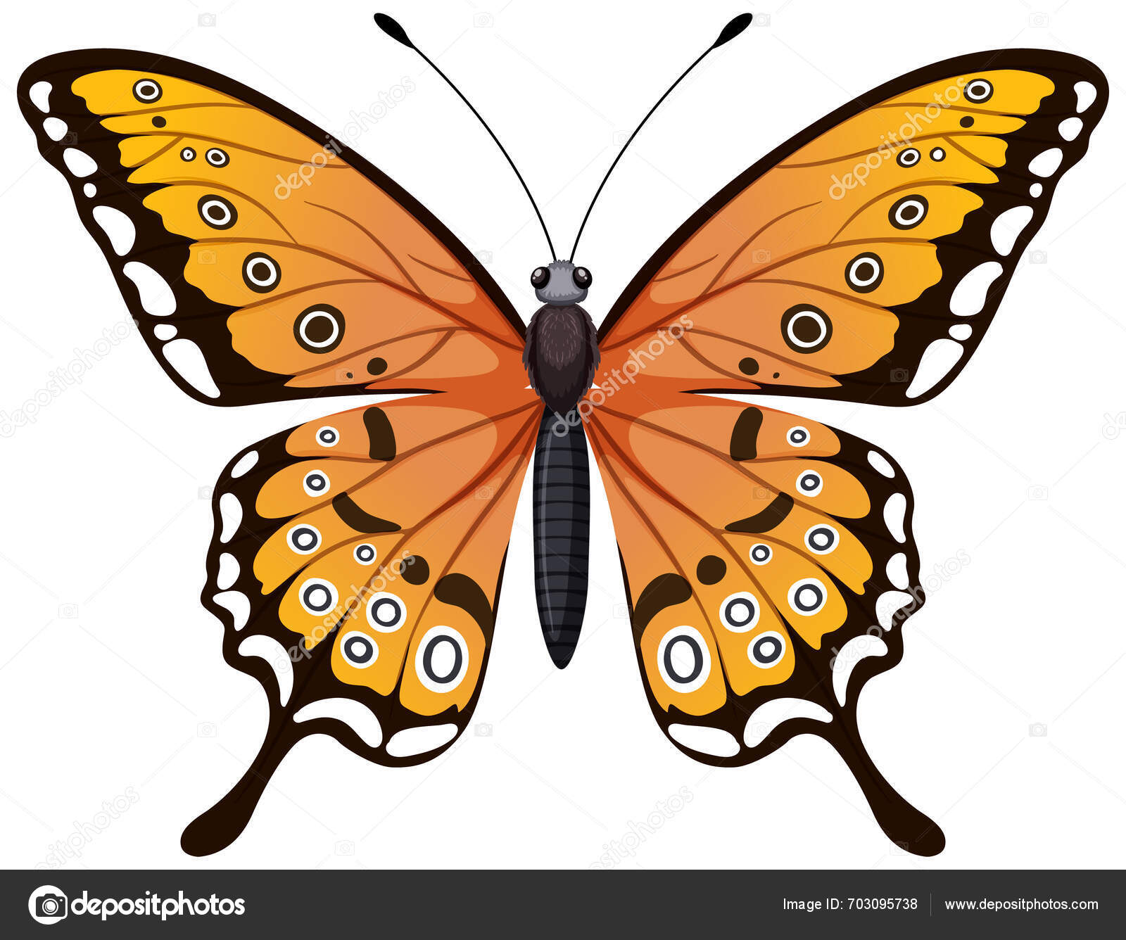 Colorido Gráfico Vectorial Una Mariposa Monarca Vector de stock ...