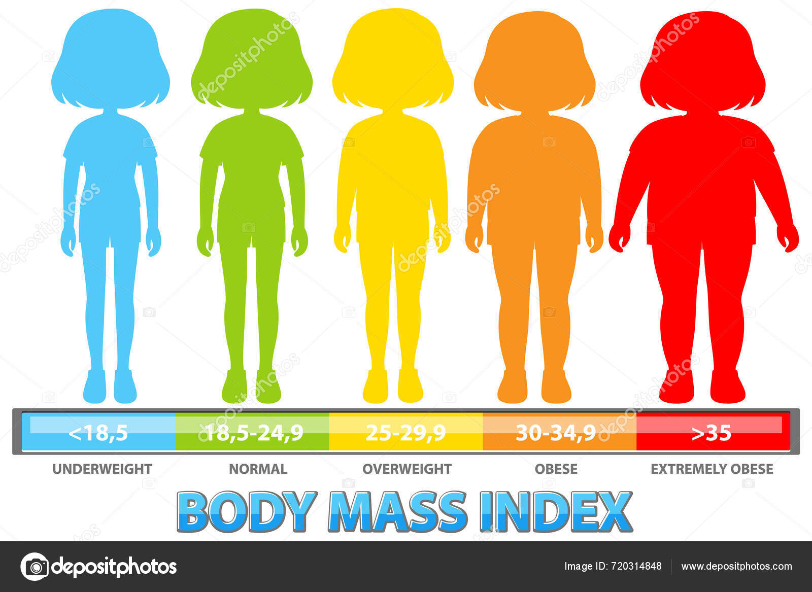 Gráfico Imc Colorido Com Silhuetas Humanas Vetor de ©interactimages ...