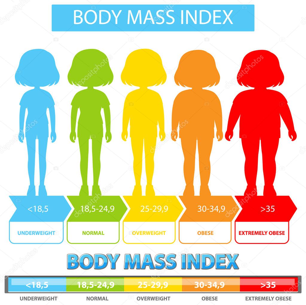 Representación visual de las categorías y rangos del IMC 2024