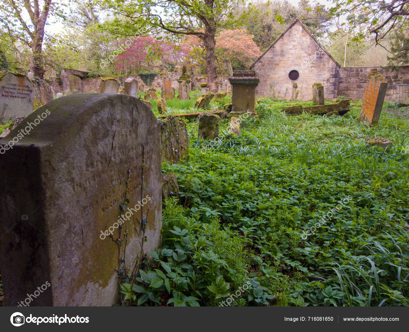 Old Graveyard Mausoleum Houses Graves Hamilton Family Barons Haugh ...