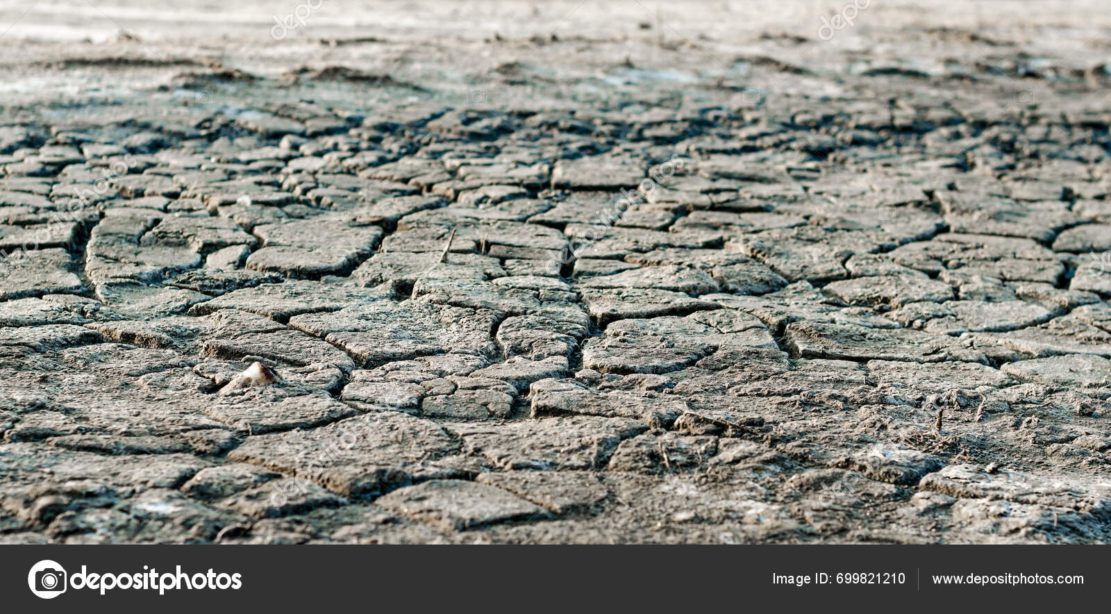 Cracked Earth Texture Famine Climate Crisis Ukraine — Stock Photo ...