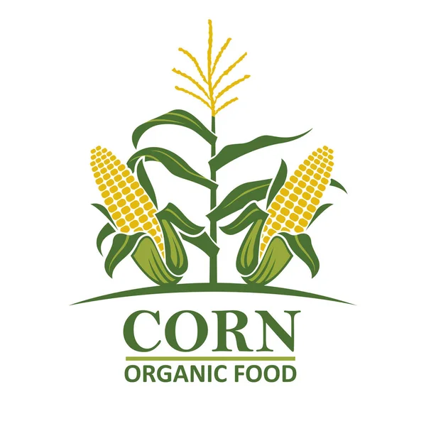 Corn Cob Stamp Isolated White Background Stock Vector by ©alexkava ...