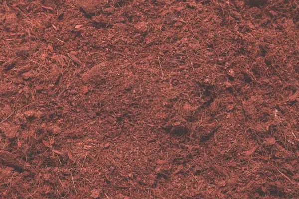 Earth ground texture images libres de droit, photos de Earth ground ...