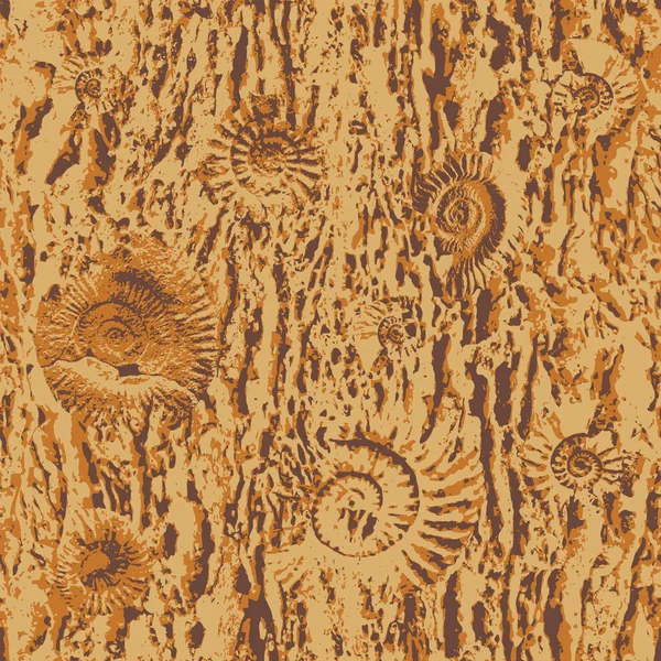 Ammonites Vector Art Stock Images | Depositphotos