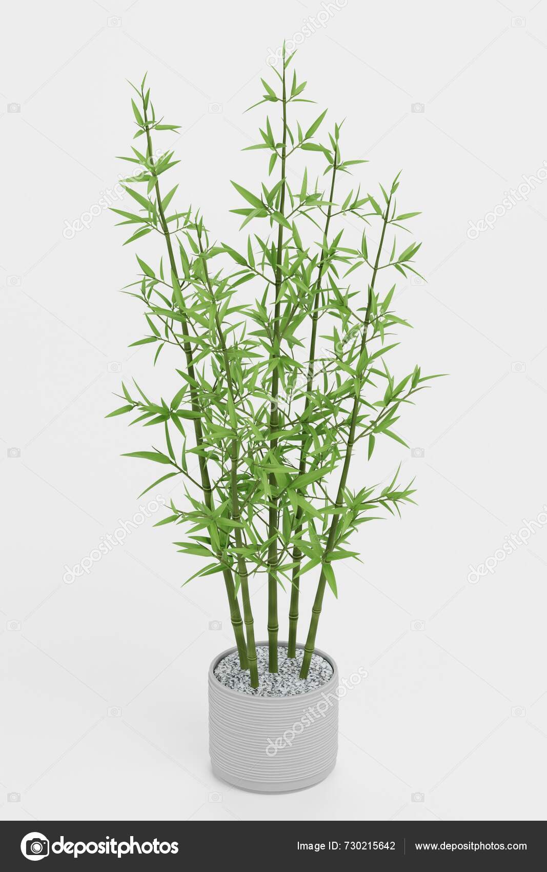 Realistic Render Bamboo Plant — Stock Photo © 3drenderings #730215642