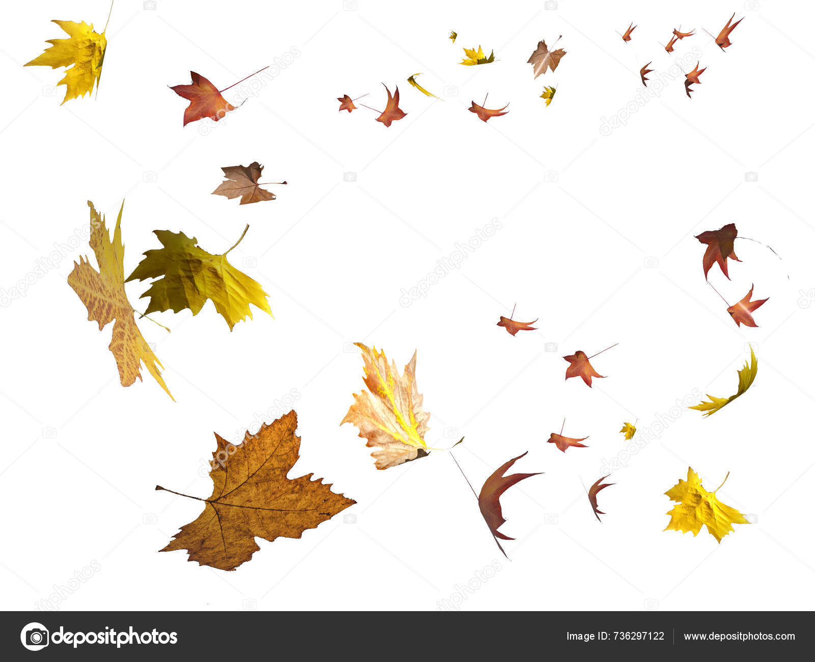 Leaf Leaves Spinning Falling Air Wind Png Isolated Autumn Background ...
