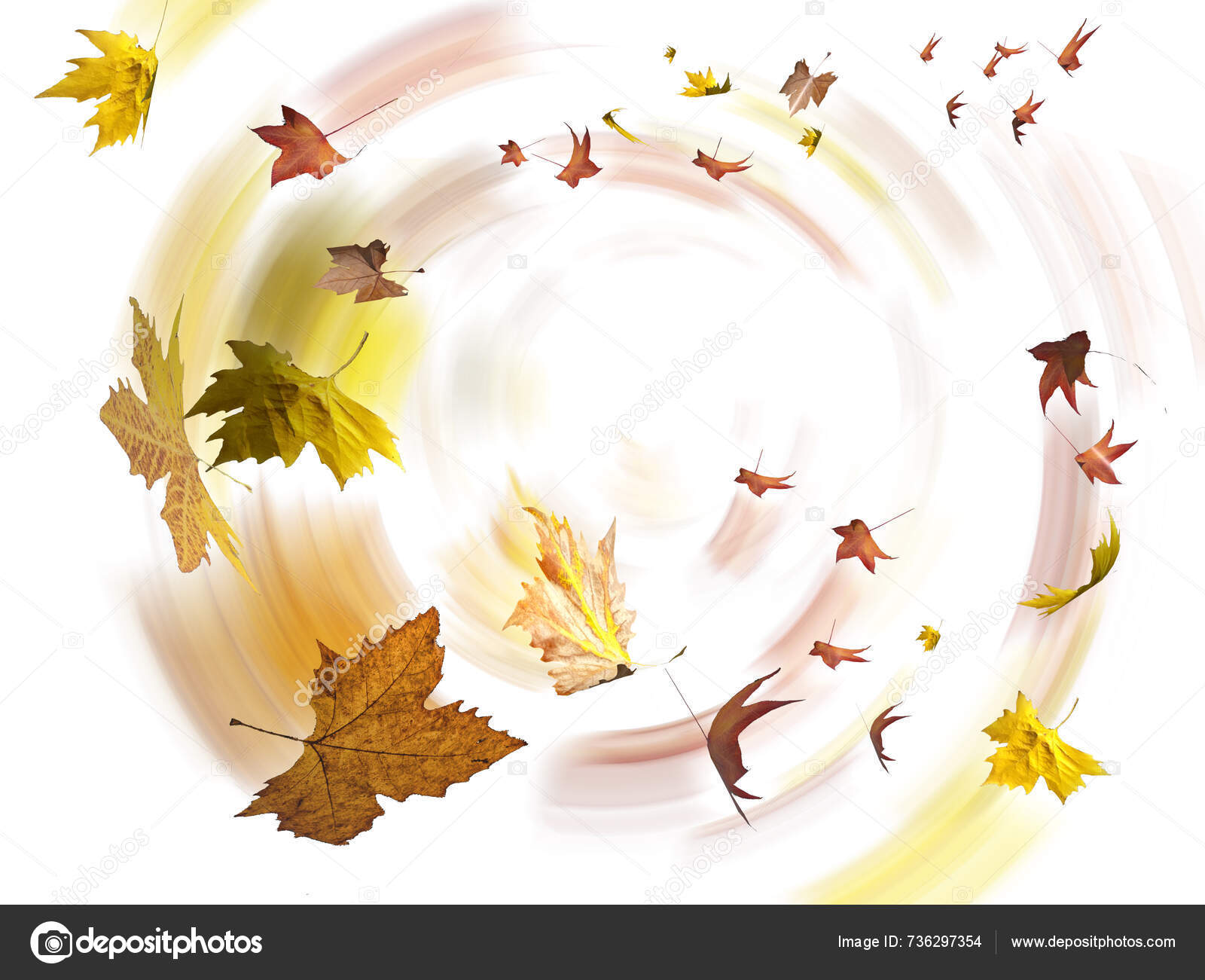Leaf Leaves Spinning Falling Air Wind Png Isolated Autumn Background ...