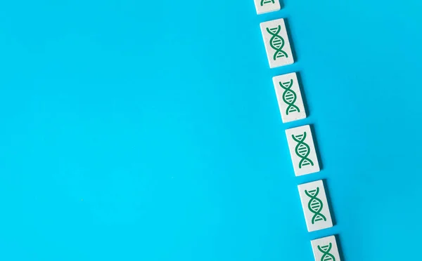 Dna connectors Stock Photos, Royalty Free Dna connectors Images ...