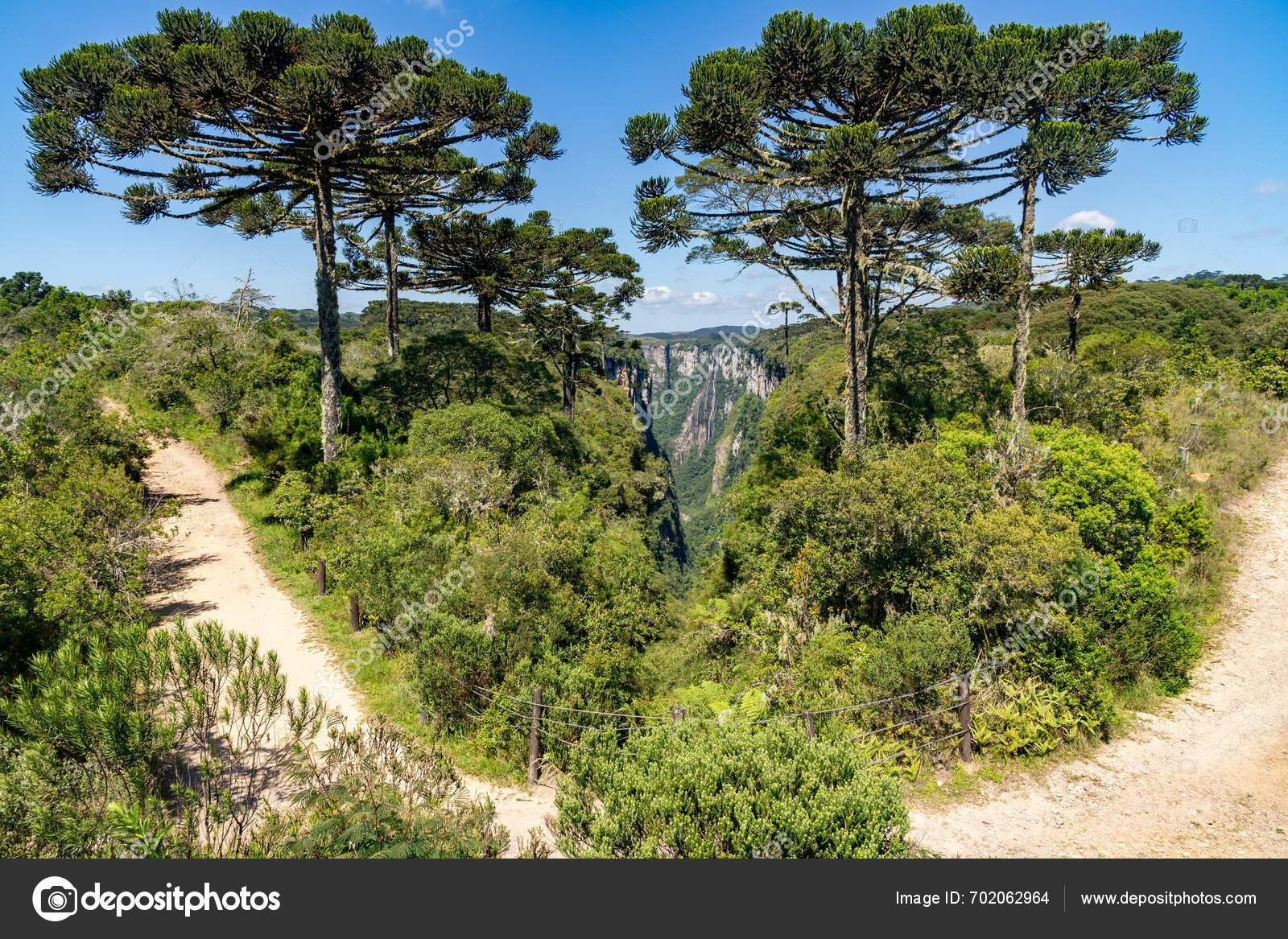 Trail Arauracia Trees Waterfall Background Itaimbezinho Canyon Cambara ...
