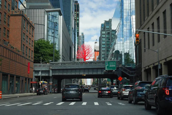 NUEVA YORK - 30 DE JULIO DE 2023: El Viejo Árbol de Pamela Rosenkranz ...