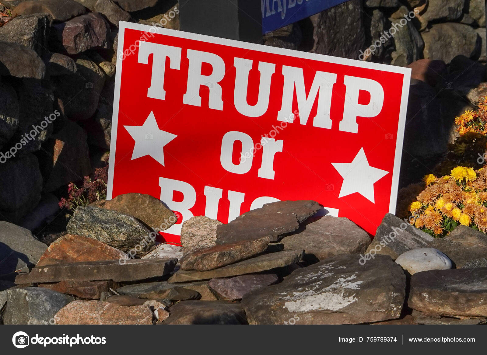 Congers New York October 2024 Trump Bust Sign Support Presidential ...