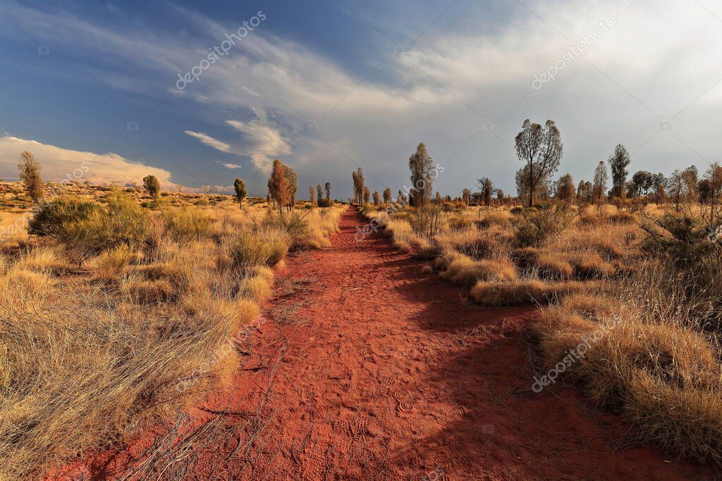 Red sand footpath going from the Resort area to Uluru-Ayers Rock among ...