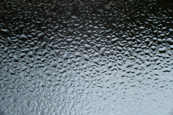 Condensation glass Stock Photos, Royalty Free Condensation glass Images ...