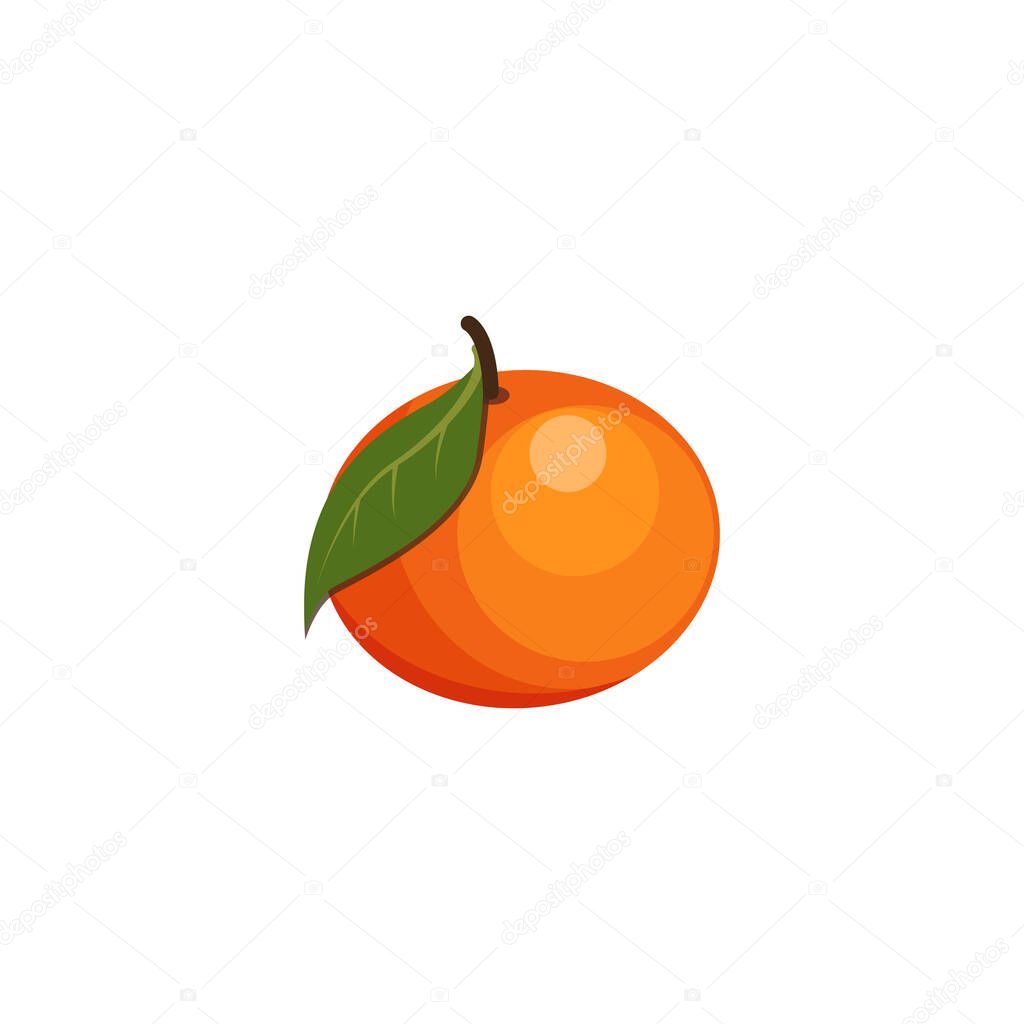 Tangerine. Tangerine vector icon illustration isolated on white ...