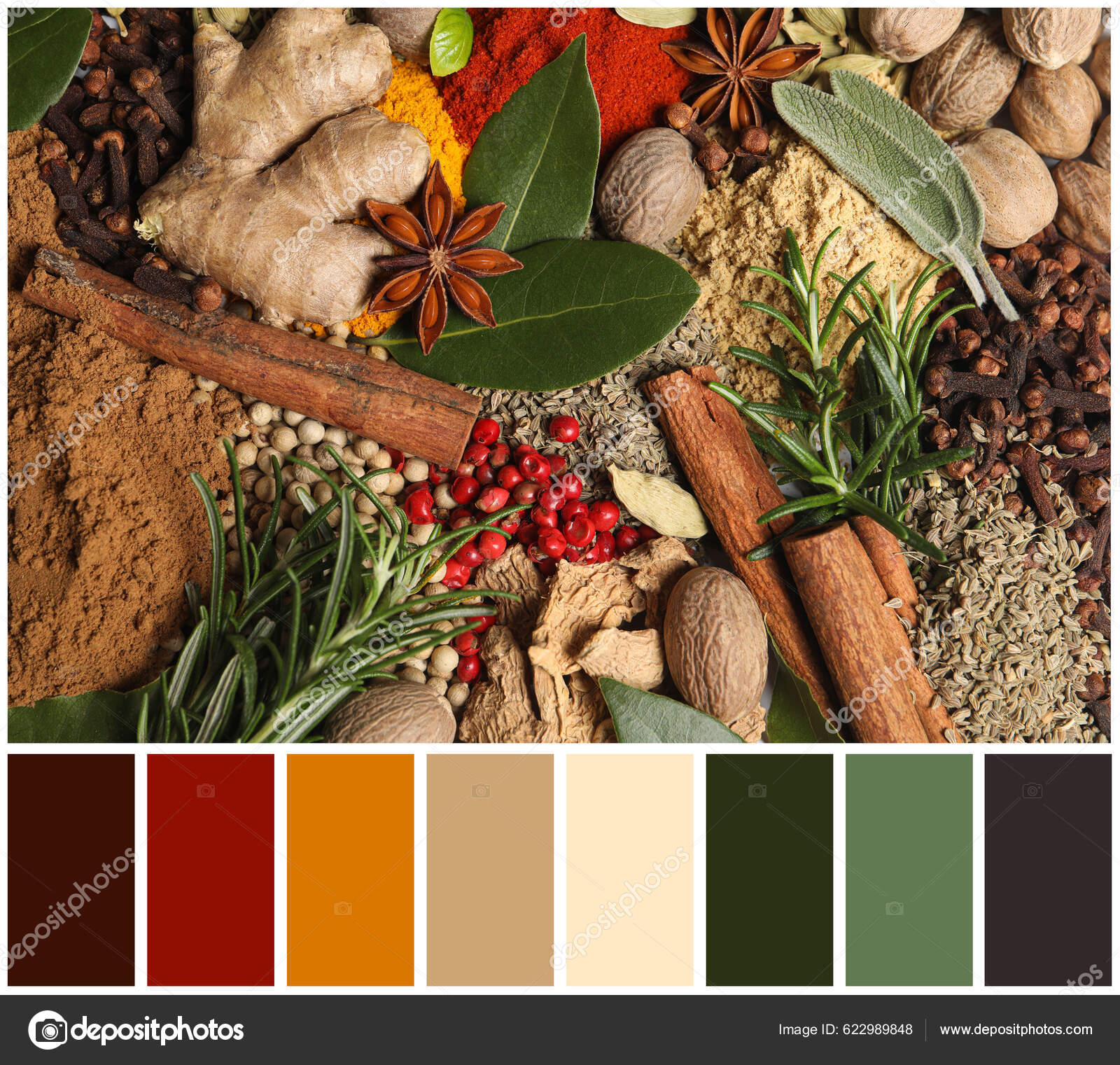Different Fresh Herbs Aromatic Spices Color Palette Collage — Stock ...