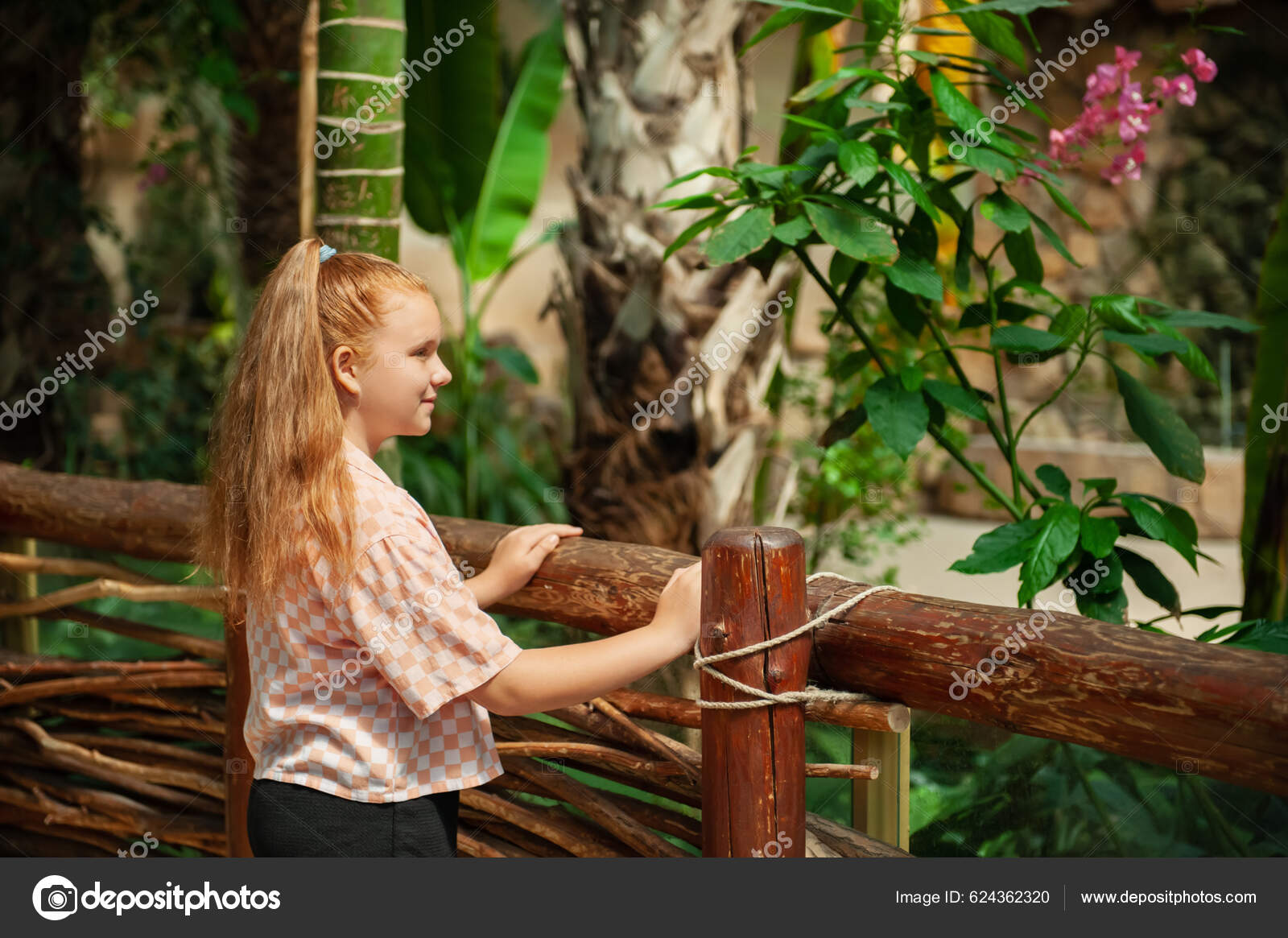 Linda Chica Viendo Animales Salvajes Zoológico: fotografía de stock ...