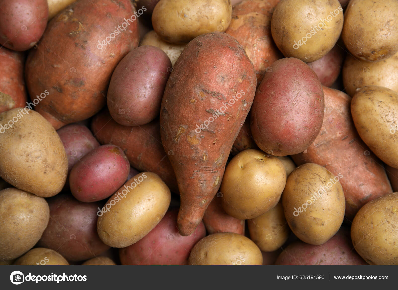 Diferentes Tipos Papas Frescas Como Fondo Vista Superior: fotografía de ...