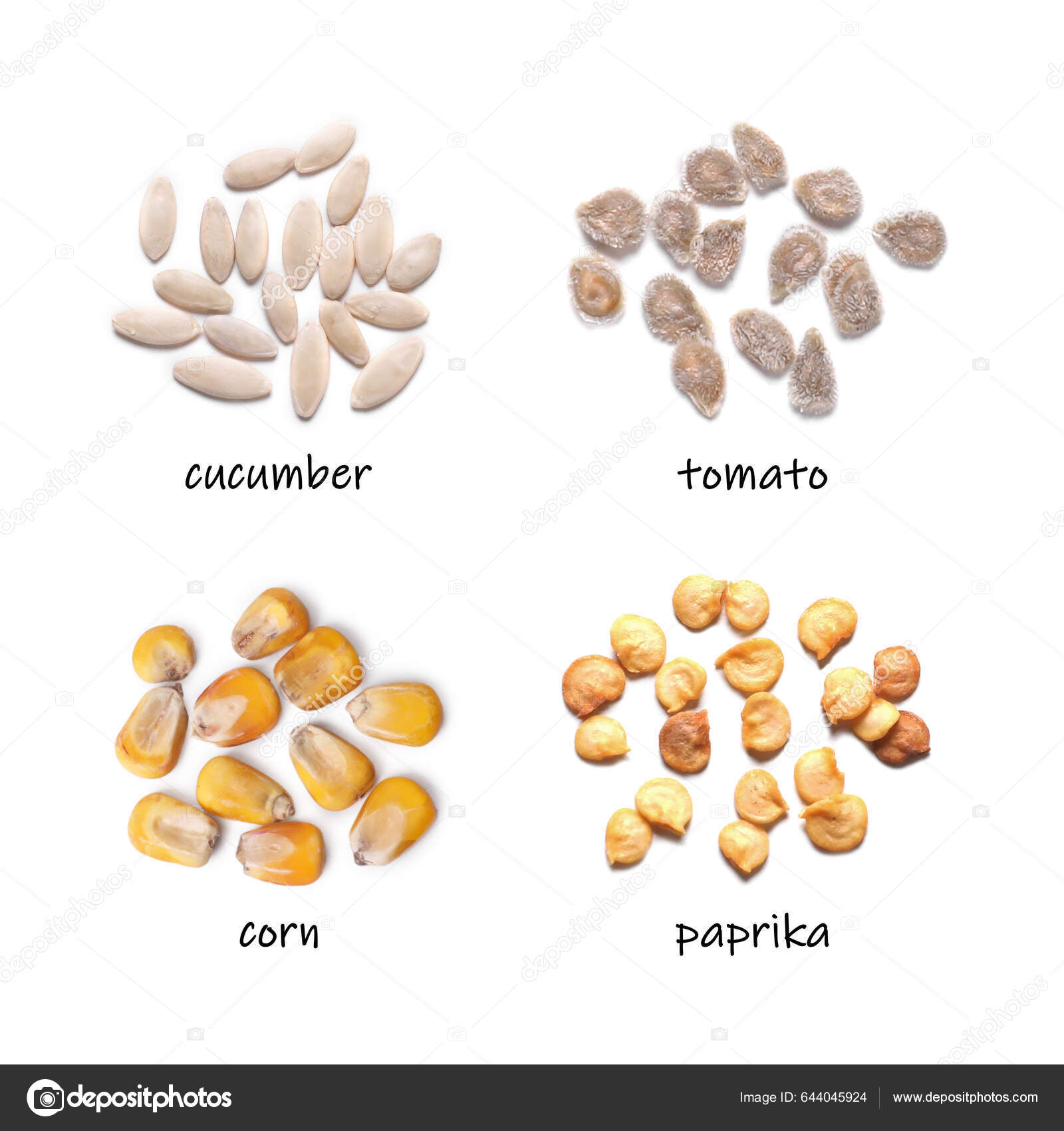 Set Vegetable Seeds Its Names White Background Top View Cucumber ...