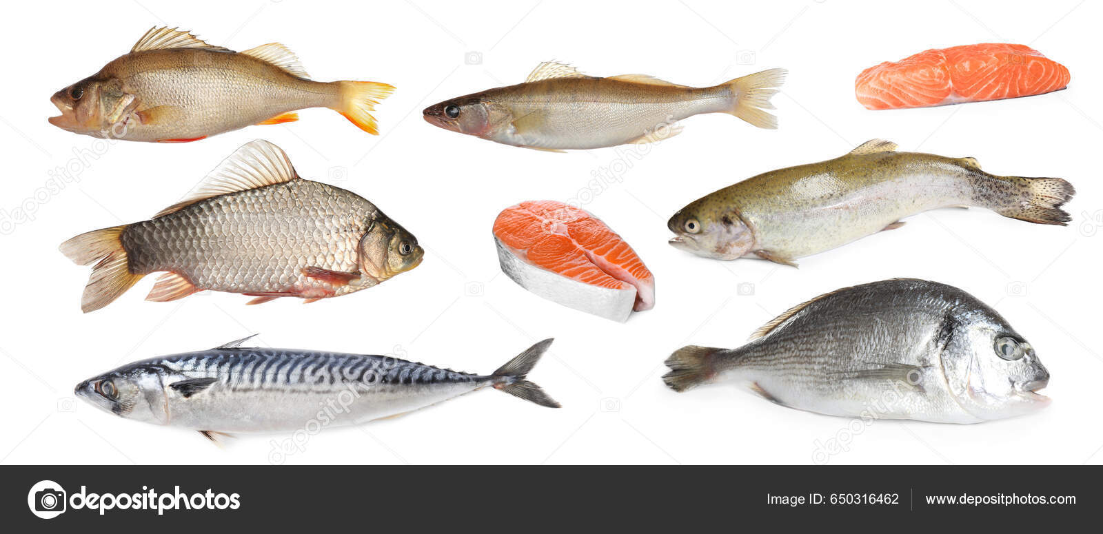 Collage Different Types Raw Fish White Background Stock Photo by ...