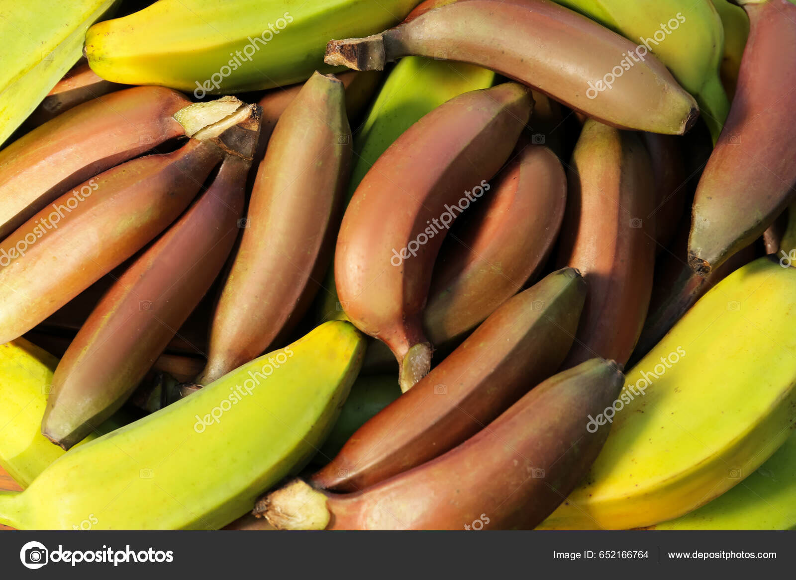 Some Different Types Of Bananas