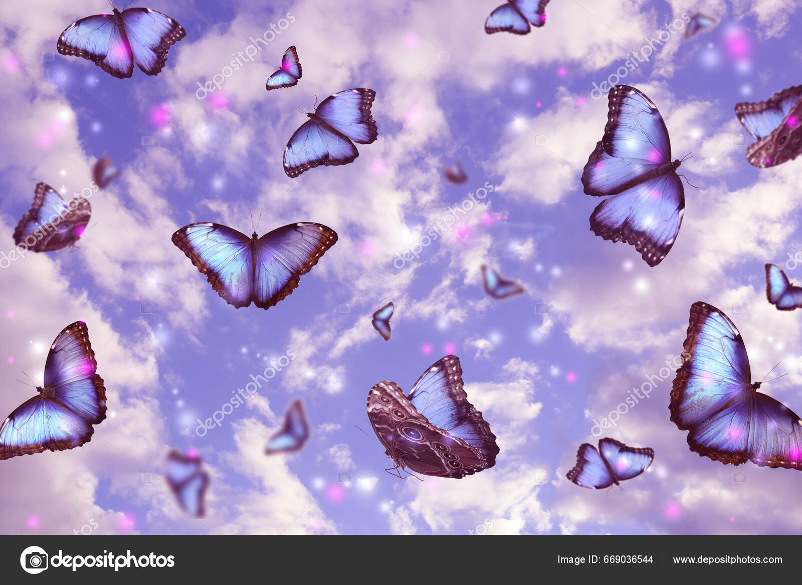 Hermosas Mariposas Volando