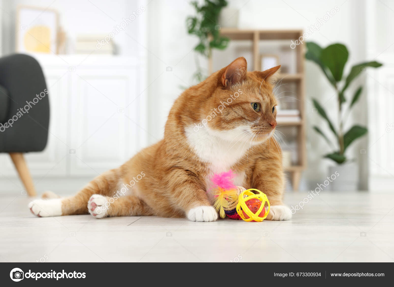 Cute Ginger Cat Playing Toys Home — Stock Photo © NewAfrica #673300934