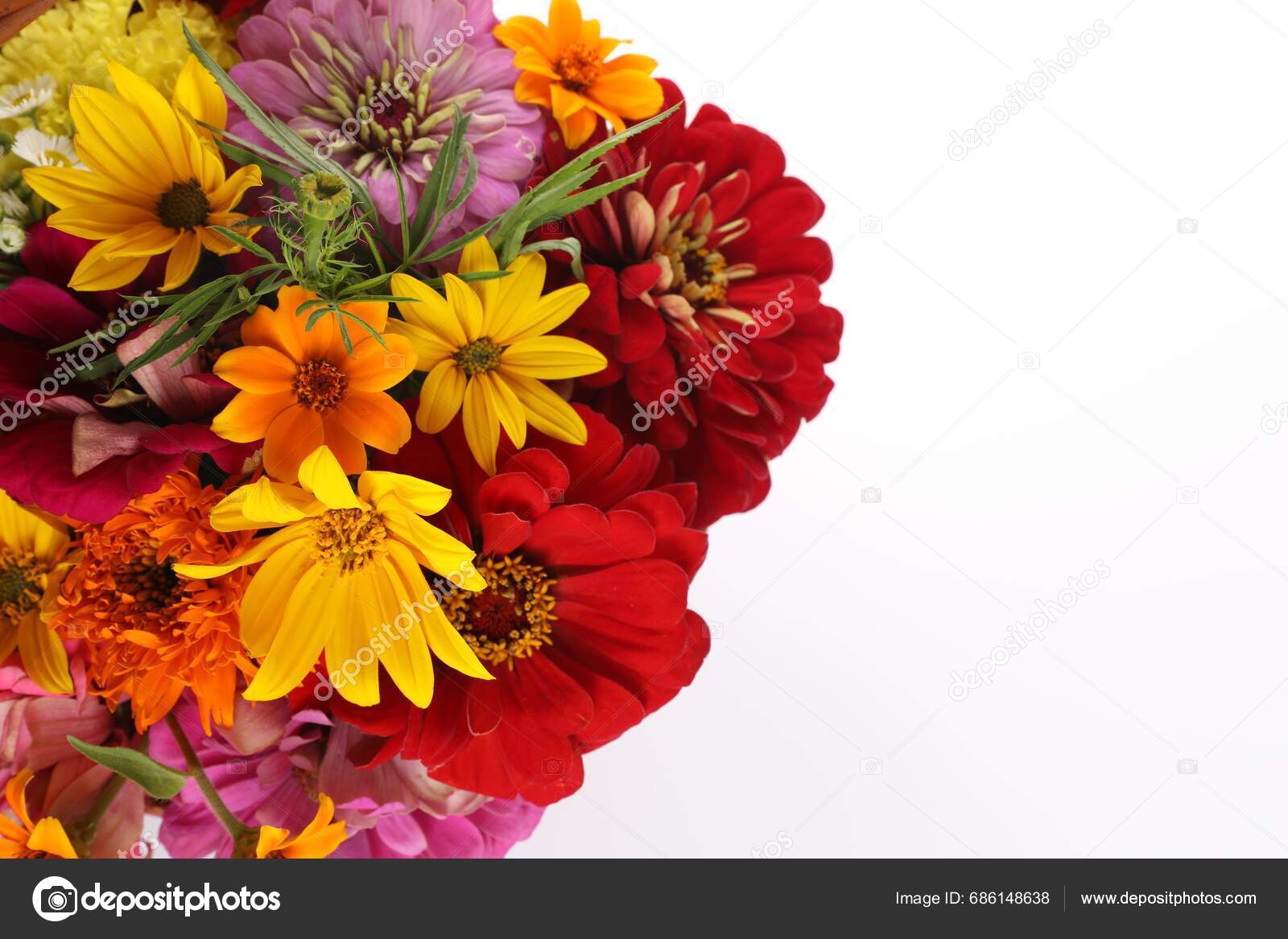 Bouquet Beautiful Wild Flowers Isolated White Top View — Stock Photo ...